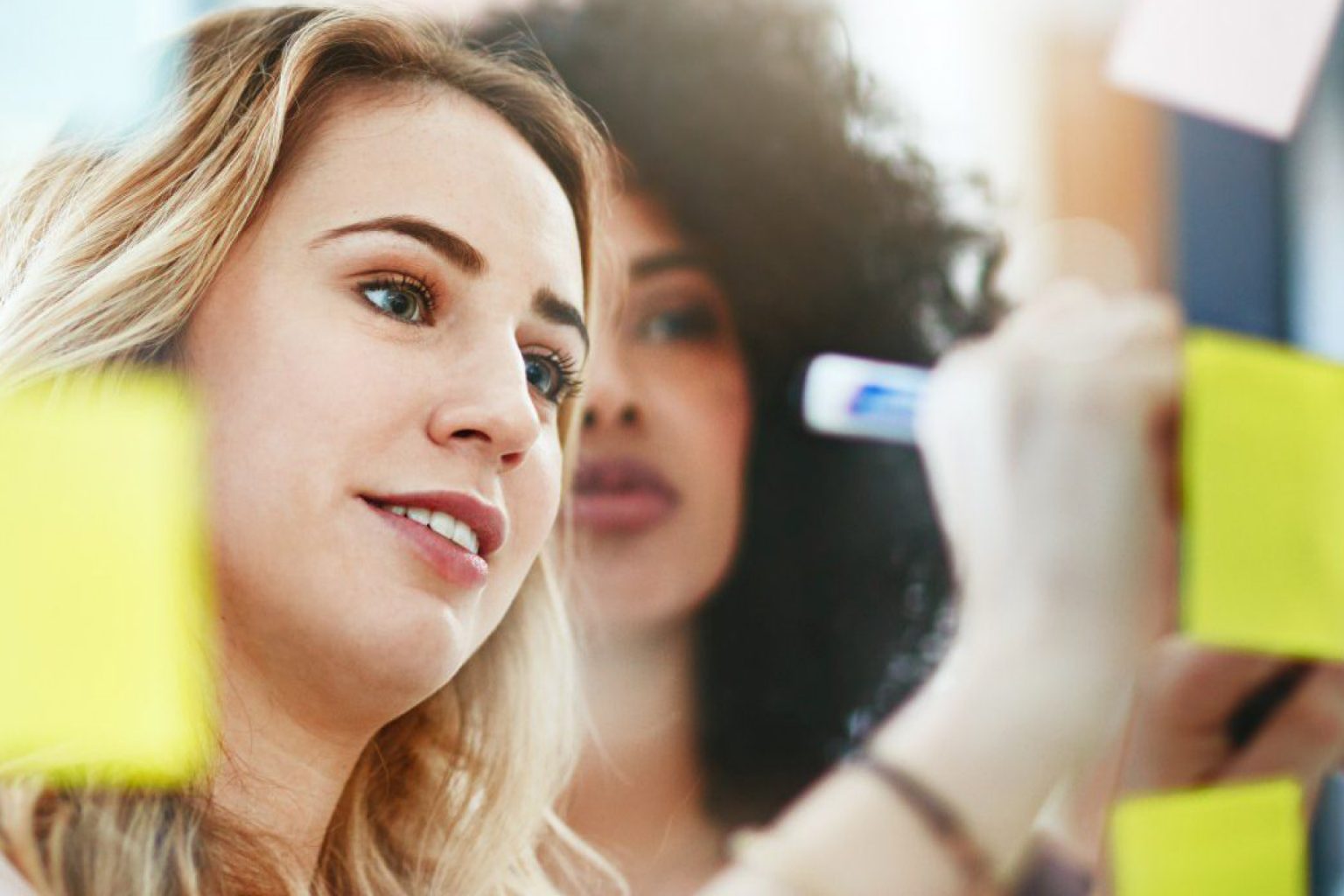 Training – Calm Training